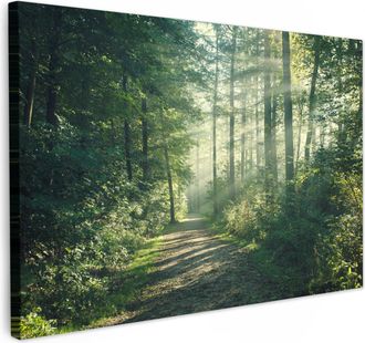 MuchoWow &copy; Wandbilder 180x120 cm Schlafzimmer Home Deko XXL Wandbild Wohnung Bild Wohnzimmer Fotoleinwand Panorama Leinwand Wall Decor Gro&szlig; Wald - Weg - Sonne 