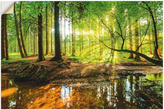 Artland ARTland Wanddeko Wandtattoo selbstklebende Vinylfolie 120x80 cm Wald Natur Landschaft Bäume Bach Sonne Frühling T9IO