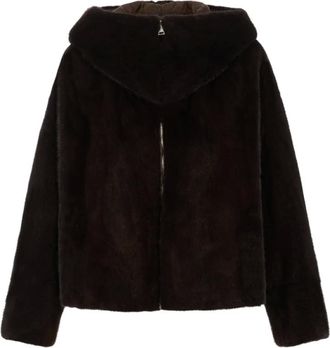BLANCHA Femme, Vestes, Brun, Taille: 38 FR Veste Courte