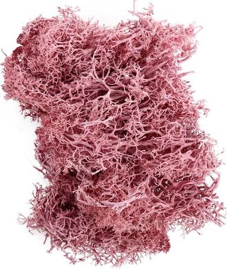 Generic K&uuml;nstliches Moos, k&uuml;nstliches gr&uuml;nes Gras f&uuml;r Tafelaufs&auml;tze, k&uuml;nstliche gr&uuml;ne Pflanzen, Ewiges Leben, Moosgras, Heim, Wohnzimmer, Garten, Dekoration (