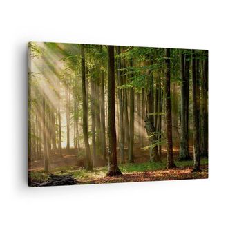 Arttor Bilder auf Leinwand Wald Baum Natur Leinwandbild mit Rahmen 70x50cm Wandbilder Dekoration Wohnzimmer Schlafzimmer K&uuml;che Deko Klein Wanddeko Bild Wand 