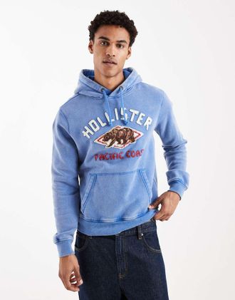 Hollister Sweat &agrave; capuche avec imprim&eacute; ours &agrave; lavant - Bleu clair
