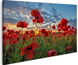 Islandburner Tableau sur Toile Panorama dun Champ avec Photo de Coquelicots Rouges Cadre Affiche Poster Murale Tableaux