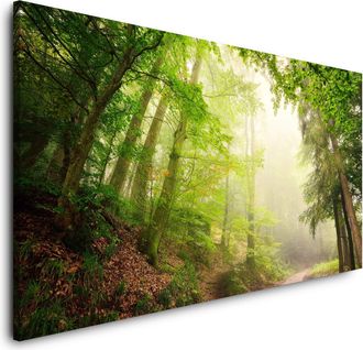 Paul Sinus Art Wald mit Waldweg 120x 60cm Panorama Leinwand Bild XXL Format Wandbilder Wohnzimmer Wohnung Deko Kunstdrucke