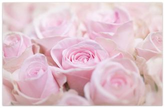 Wallario Rutschfester, Teppich mit Motiv - Fußmatte Rosafarbene Rosenblüten im Strauß, Größe 90 x 140 cm - flachgewebt