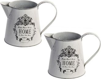 BESPORTBLE 2 Stück Retro Eisenblumentopf Dekorative Gießkanne im Vintage Stil Robustes Material für Blumendekoration Drinnen und Draußen als Geschenk für Fenster