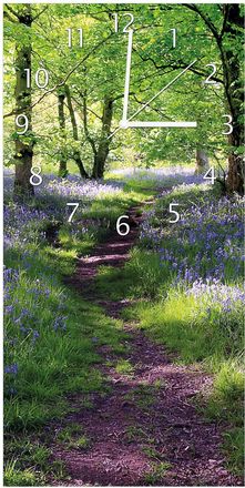 Wallario Design-Wanduhr, Acrylglasuhr Größe 30 x 60 cm, weiße Zeiger, Motiv Blaues Hasenglöckchen im Wald