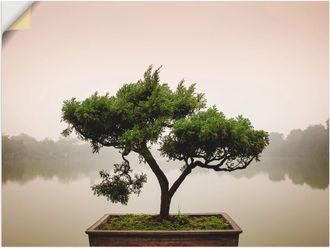 Artland ARTland Wanddeko Wandtattoo selbstklebende Vinylfolie 80x60 cm Botanik Bäume Fotografie Grün Chinesischer Bonsaibaum T9IC