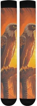 Generic Chaussettes De Contention Cigale DAmérique Skinny Hawk Chaussettes De Sport Homme Confortables Classiques Élastique Bonneterie, Pour Trekking, Gym, Sp