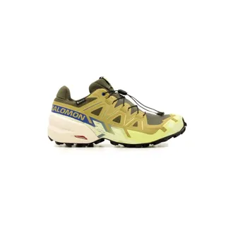 Salomon Homme, Sport, Vert, Taille: 42 2/3 EU Chaussure de trail Speedcross 6 Gore-Tex