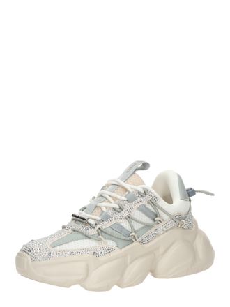 Steve Madden Sneaker Spectator-R