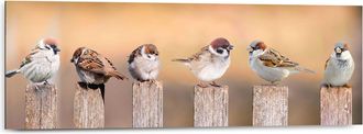 Reinders Wandbild, Vogelfamilie, Schlafzimmer, Bilder, Wanddeko, Room Decor, MDF, Braun, 30 x 90