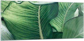 Arttor Wandbilder Dekoration Wohnzimmer Bl&auml;tter Exotisch Botanisch Panorama Bilder auf Glas 120x50cm Glasbild Schlafzimmer K&uuml;che Wand Kunstdruck Art Gro&szlig; Wan