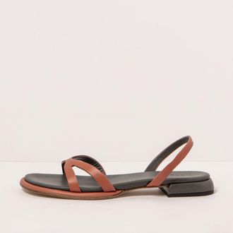 Neosens 331561188003