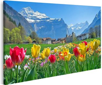Islandburner Prime Bild auf Leinwand Frühling in den Schweizer Alpen mit Tulpenfeld für Wohnzimmer Naturliebhaber Naturkostladen Bilder Wandbilder Poster