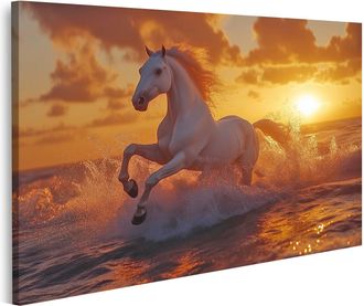 Islandburner Bild auf Leinwand Wei&szlig;es Pferd im Sonnenuntergang am Meer Bilder Wandbilder Poster