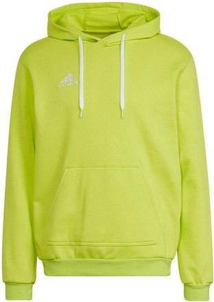 adidas Performance Kapuzensweatshirt Entrada 22