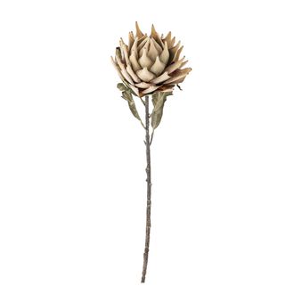 Bloomingville Protea K&uuml;nstlich Einzelstiel, Natur, Kunststoff, T20xH76 cm