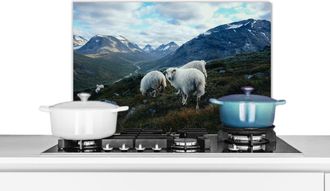 MuchoWow Spritzschutz Küche Küchenrückwand Alu Poster Bilder 70x50 cm Schafe - Natur - Berge