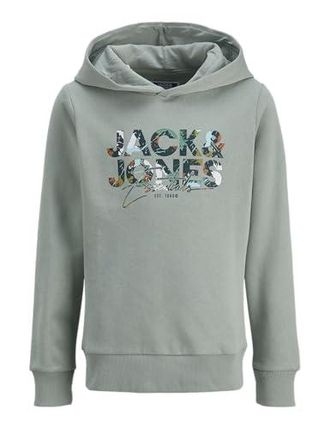 Jack & Jones Hood Jjgeplas Sweat &agrave; Capuche JNR, Iceberg Green, 176 Homme