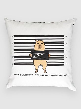 A.Lab Booked Coussin