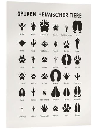 Posterlounge Spuren heimischer Tiere I Acrylglasbild von Iris Luckhaus 13 x 18 cm Schwarz-Wei&szlig; Wandbilder Wanddeko