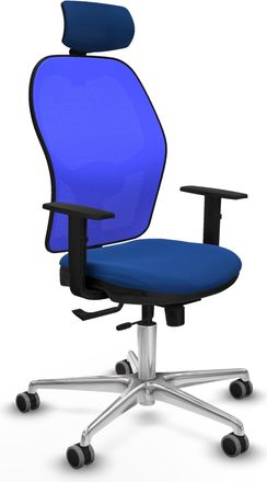 Piqueras y Crespo Ergonomischer Arbeitsstuhl mit 1D-Armen, h&ouml;henverstellbare Lendenwirbelst&uuml;tze und h&ouml;henverstellbares Kopfteil, Blau/Blau