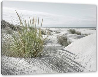 Pixxprint Grasige Dünenlandschaft am Meer B&W Detail, Größe: 100x70cm, Leinwandbild, fertig gespannt, Wandbild, Dekoration, Kunstdruck, kein Poster