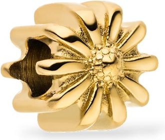 Purelei LEI Aster Charm - Geburtsblume September