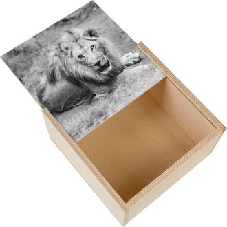 Fabulous Box aus Holz - Foto von einem l&auml;nglichen L&ouml;we Savanne Afrika (11 x 11 x 3,5 cm)