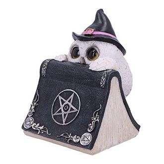 Nemesis Now Eulenzauber, 15 cm, Schwarz