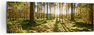 Arttor Panorama Bilder auf Leinwand 160x50cm Leinwandbild Wald Baum Natur Groß XXL Wanddeko Bild Schlafzimmer Küche Wandbilder Dekoration Wohnzimmer Wall Dec