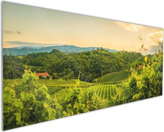 Wallario K&uuml;chenr&uuml;ckwand aus Glas 125 x 50 cm, Motiv: Abendlicht &uuml;ber Weinbergen | Spritzschutz abwischbar & pflegeleicht