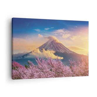 Arttor Bilder auf Leinwand Fuji Blume Kirsche Leinwandbild mit Rahmen 70x50cm Wandbilder Dekoration Wohnzimmer Schlafzimmer Küche Deko Klein Wanddeko Bild Wa