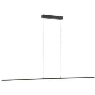 Paul Neuhaus Lampe suspendue design Pure Lite 160 cm anthracite - 8377-13