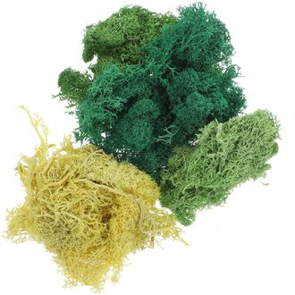 Soimiss 4 St&uuml;ck Pack Konserviertes Selbstgemacht Trockenmoos in Leuchtenden Farben Nat&uuml;rliches Bastelmoos f&uuml;r Terrarien Topfpflanzen und Dekorative Kunsthandw