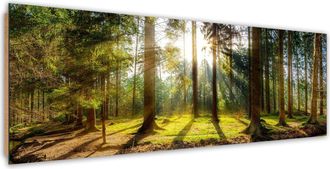 Feeby Frames Feeby, Wandbild, Deco Bild, gedrucktes Bild, Deco Panel, Bild, Panoramabild 53x158 cm, Wald, BÄUME, Natur, Sonne, GRÜN, BRAUN