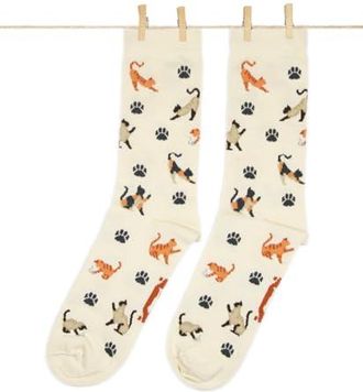 Roits Chaussettes Chats Cr&egrave;me Femme 36-40 - Chaussettes Fantaisie Originales Rigolotes Dr&ocirc;les &agrave; Motifs Multicolore Qualit&eacute;