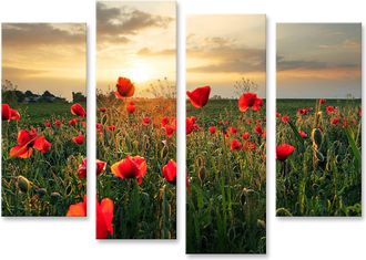 Islandburner Bild auf Leinwand Mohnblumen Feldblume Sonnenuntergang Wandbild Poster Bilder 130x80cm - 4 Teile