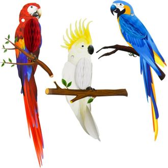 Aboofan 3 Stück Papageien Papier Waben Dekoration Aus Papier Hawaiianische Tropische Party Hängedekoration Farbenfrohe Papageien Hängedekorationen Für Geburts