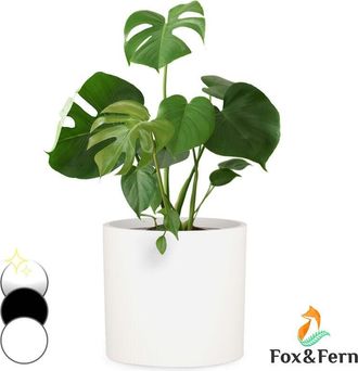 Blumfeldt Blumfeldt - Jardinière en fibre de pierre pour intérieur/extérieur