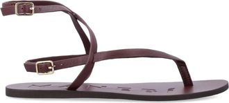 Maneb&igrave; Femme, Chaussures, Brun, Taille: 39 EU Crossover Tong Sandal