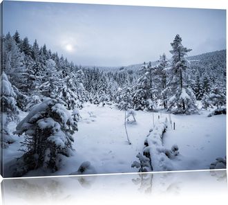 Pixxprint Winterlandschaft vereister See, Größe: 80x60cm, Leinwandbild, fertig gespannt, Wandbild, Dekoration, Kunstdruck, kein Poster