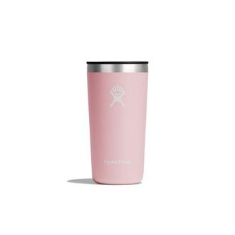 Hydro Flask All Around Tumbler 355 ml (12 oz) mit verschließbarem, auslaufsicherem Press-In-Deckel - Edelstahl-Doppelwand-Vakuumisolierung - BPA-frei - Trillium
