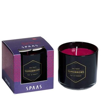Spaas Duftkerze im Glas in Geschenkbox, &plusmn; 30 Stunden-Winter Glow, Paraffinwachs, Fuchsia, D x H 76 mm