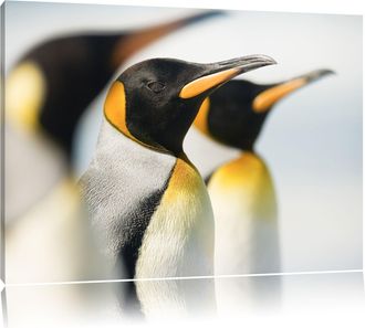Pixxprint Pinguine, Gr&ouml;&szlig;e: 80x60cm, Leinwandbild, fertig gespannt, Wandbild, Dekoration, Kunstdruck, kein Poster