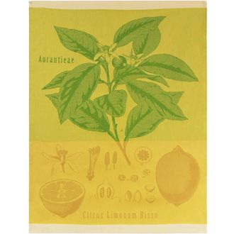 Tissage Moutet Moutet Torchon K&uuml;chenhandtuch Geschirrtuch Handtuch, hochwertige Baumwolle in Frankreich gewebt, limitiertes Motiv Citrus