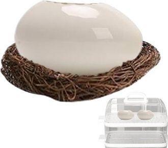 Generic Bol &agrave; salade, coquille doeuf rustique avec base, bol &agrave; oeufs cuits &agrave; la vapeur - pour salade, soupe, plats daccompagnement, maison, appartement, resta