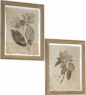 Loberon Bild 2er Set Guyra, nostalgisch gemalte Blumen, faszinierender Vintage-Stil, Wanddekoration, Tannenholz, Papier, Glas, beige/braun