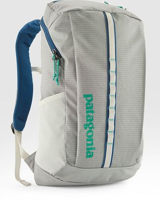 Patagonia Black Hole 25L Rucksack birch white